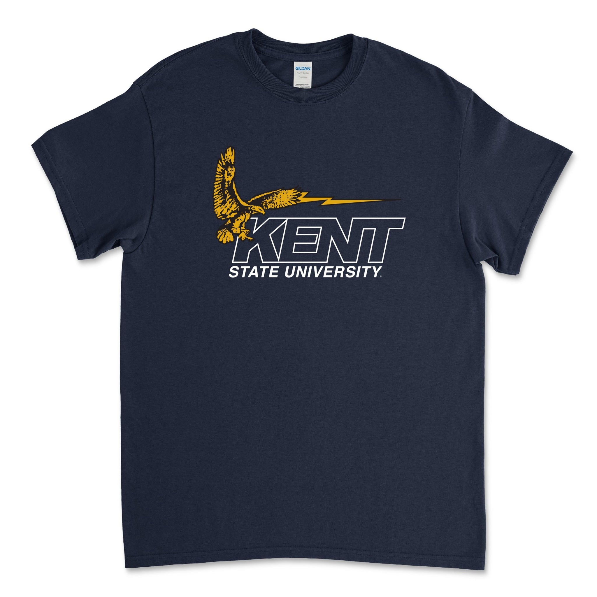 Retro Eagle With Bolt